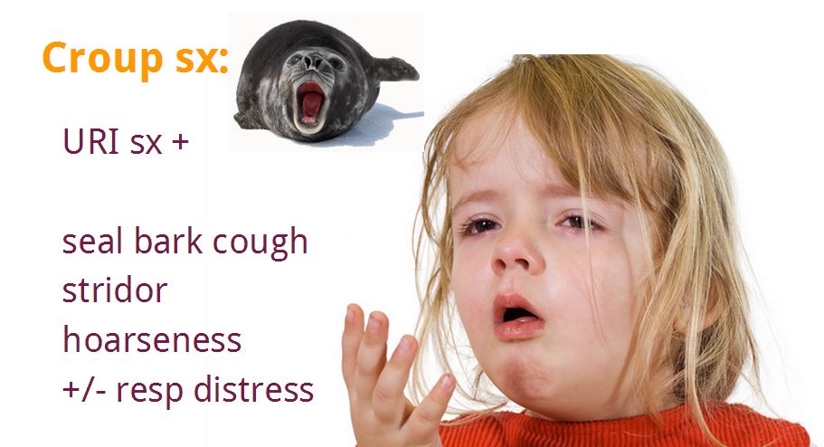 Croup – EM in 5