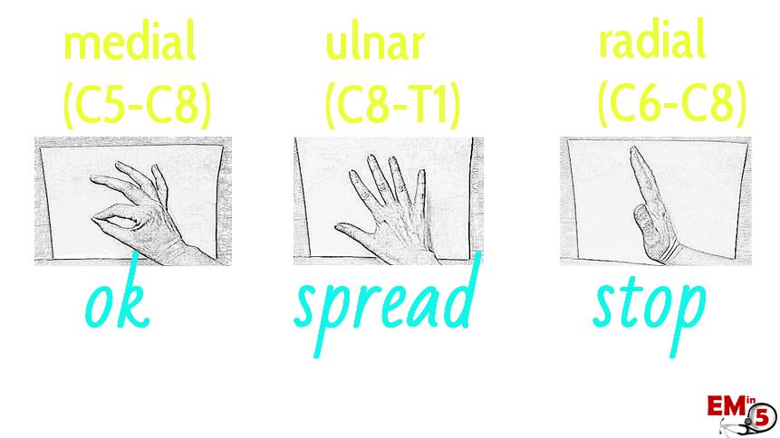 Rapid Neuro Hand Exam – EM in 5