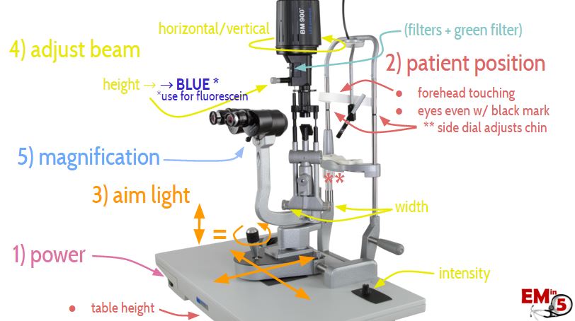 Slit Lamp Anatomy – EM in 5